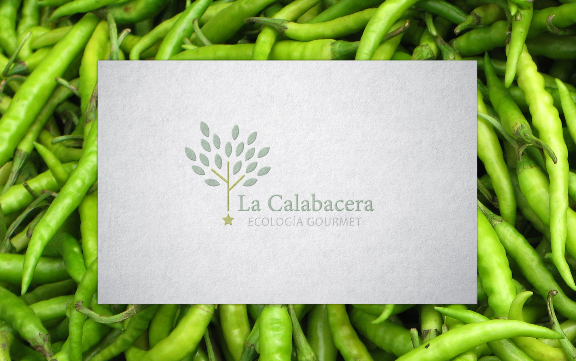 LA CALABACERA ECOLOGÍA GOURMET | CEST